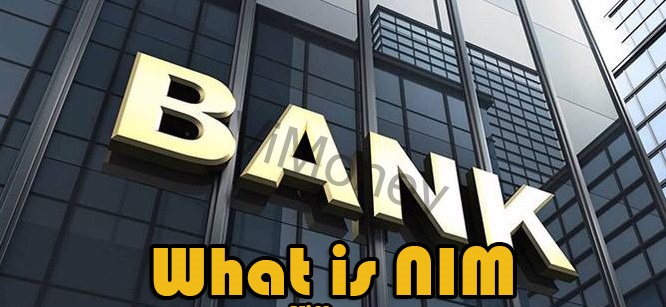 NIM là gì? hệ số NIM trong ngân hàng - Ngolongnd.net