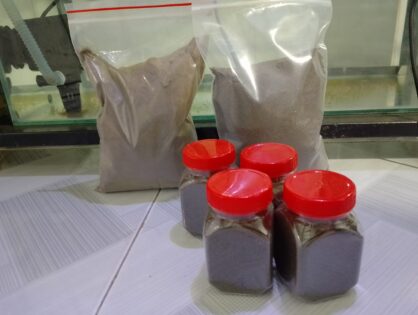 Tìm hiểu về Cá Két Panda: vui nhộn, thông minh, dễ nuôi, giá rẻ ...